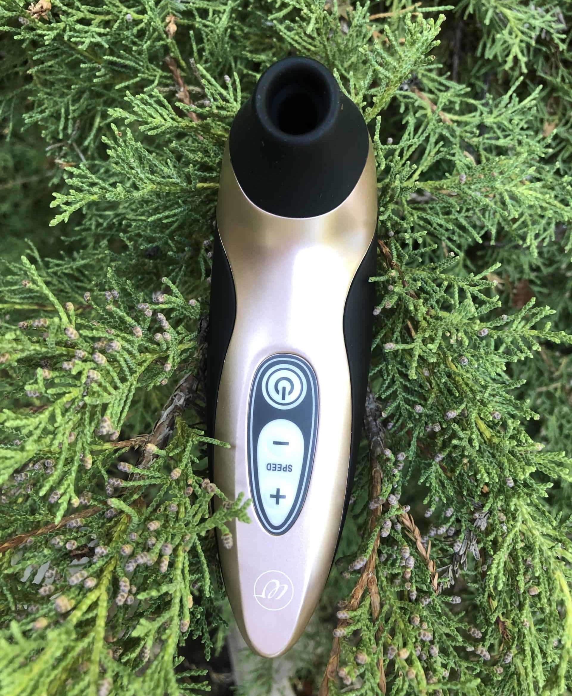 Womanizer X Lovehoney Pro40 Review - Joan Price