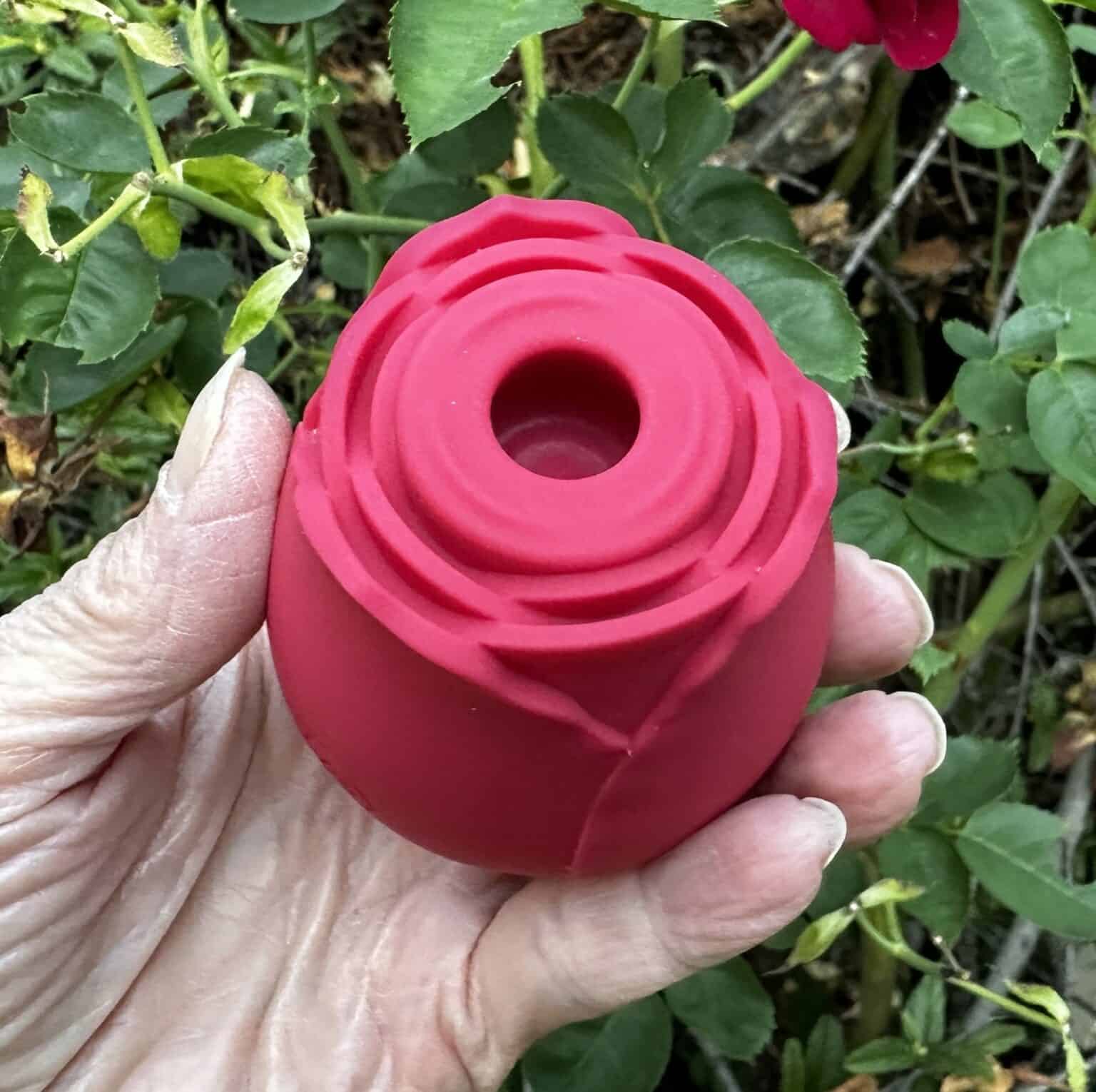 Inya The Rose Review | Joan Price