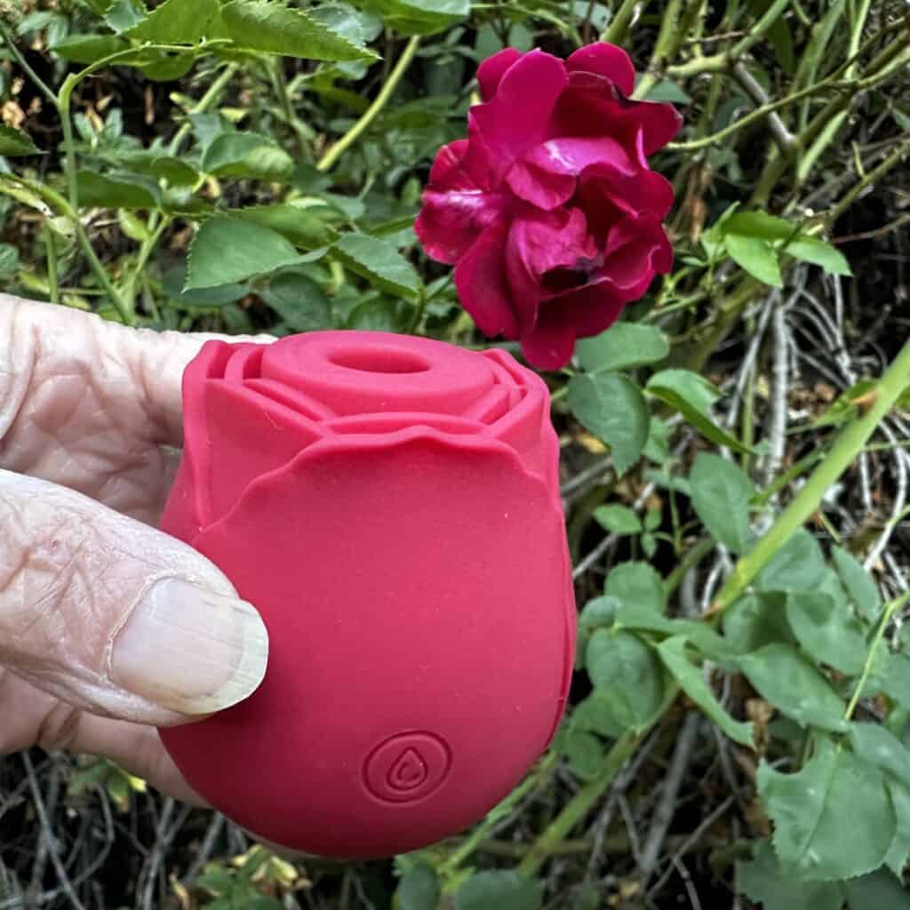 Inya The Rose Review | Joan Price