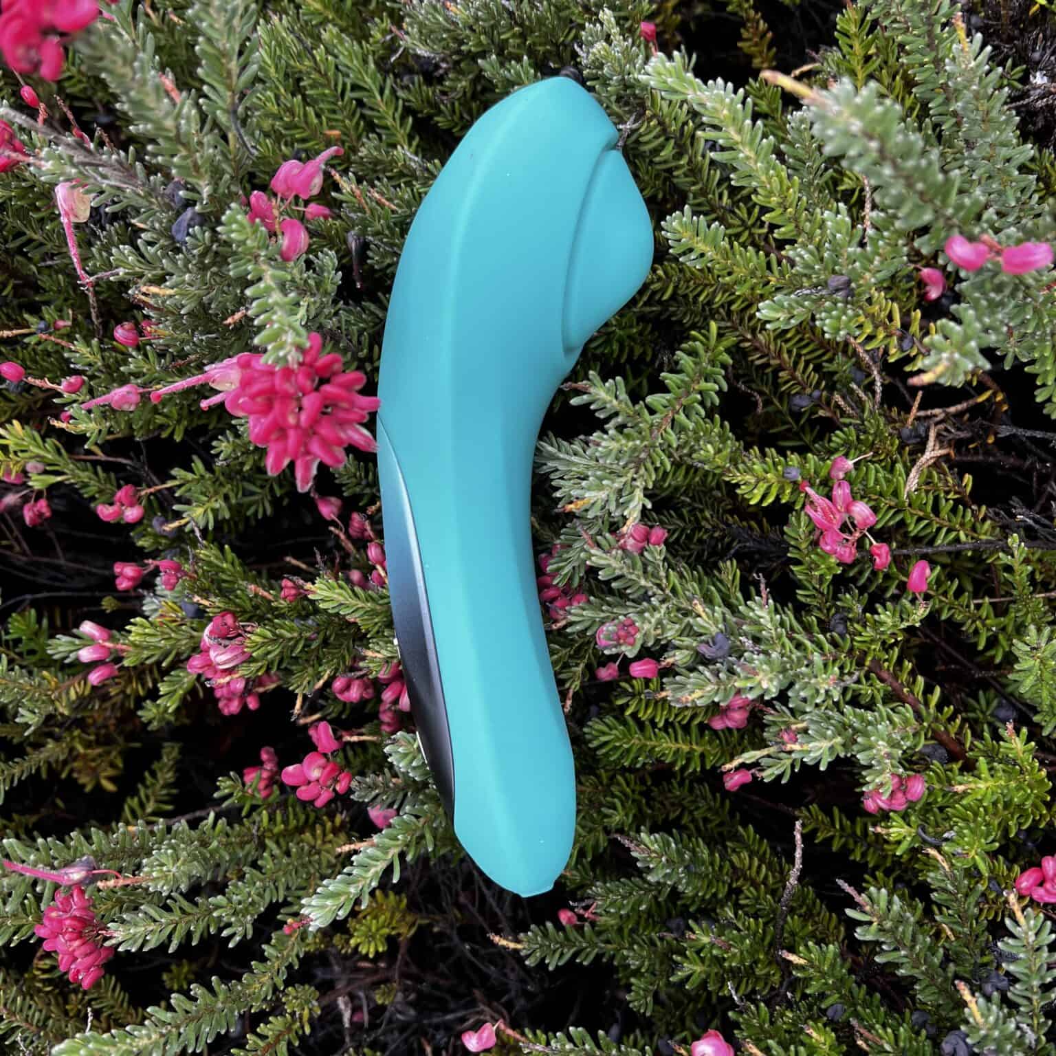 Joan Price | Author, Speaker, and Advocate for Ageless Sexuality